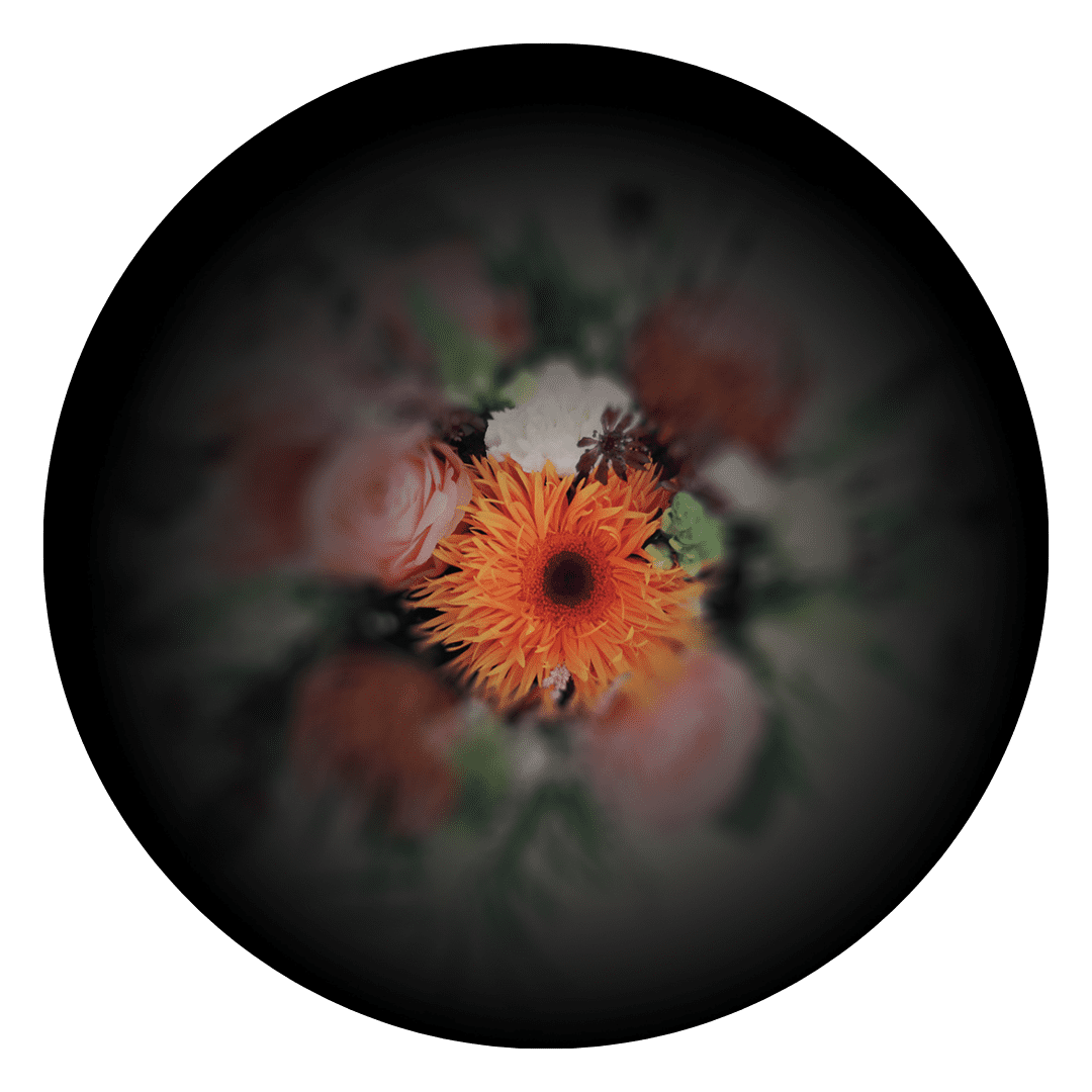 Understanding Blindness - HealthScope® Magazine